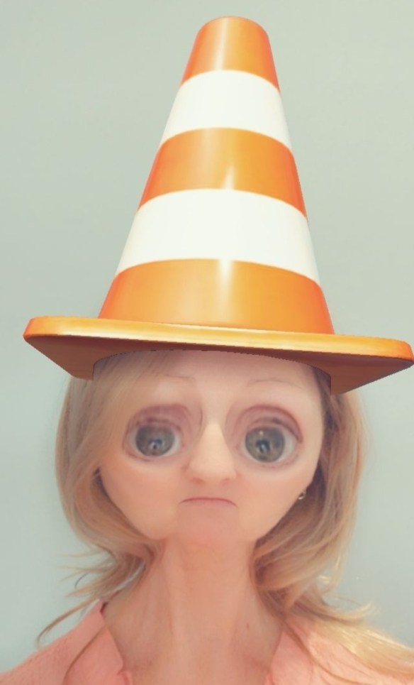 #SoCS Monkey Puzzle | Gloria McBreen